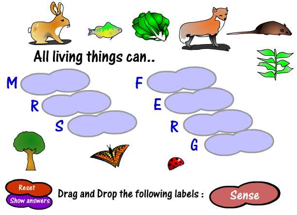 Life processes quiz questions - Footprints-Science | GCSE science ...