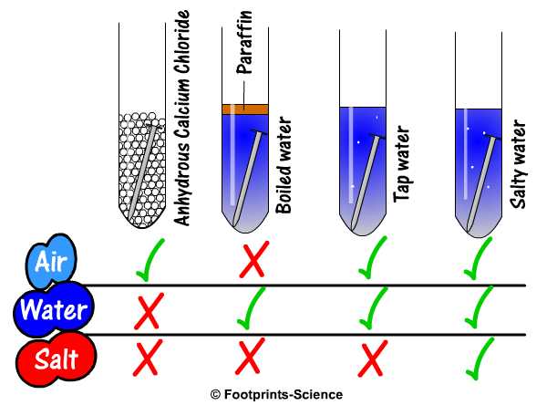 Rusting experiment quiz questions - Footprints-Science | GCSE science ...