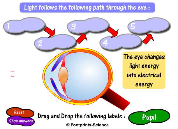 Footprints-Science - GCSE Science animations and quizzes