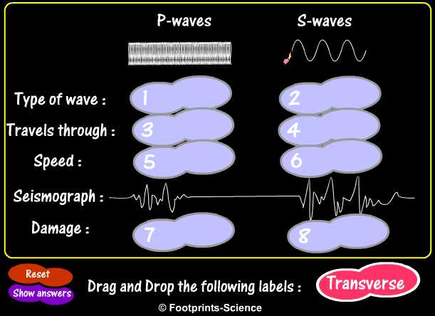 Footprints-Science - Quality animations for excellence in science